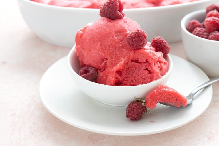 Sugar Free Keto Raspberry Sorbet - All Day I Dream About Food