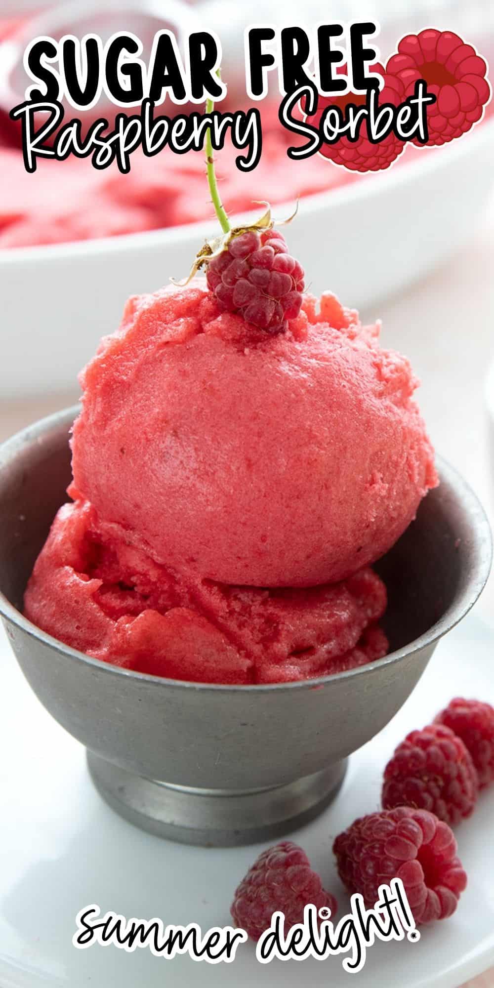 Sugar Free Keto Raspberry Sorbet - All Day I Dream About Food