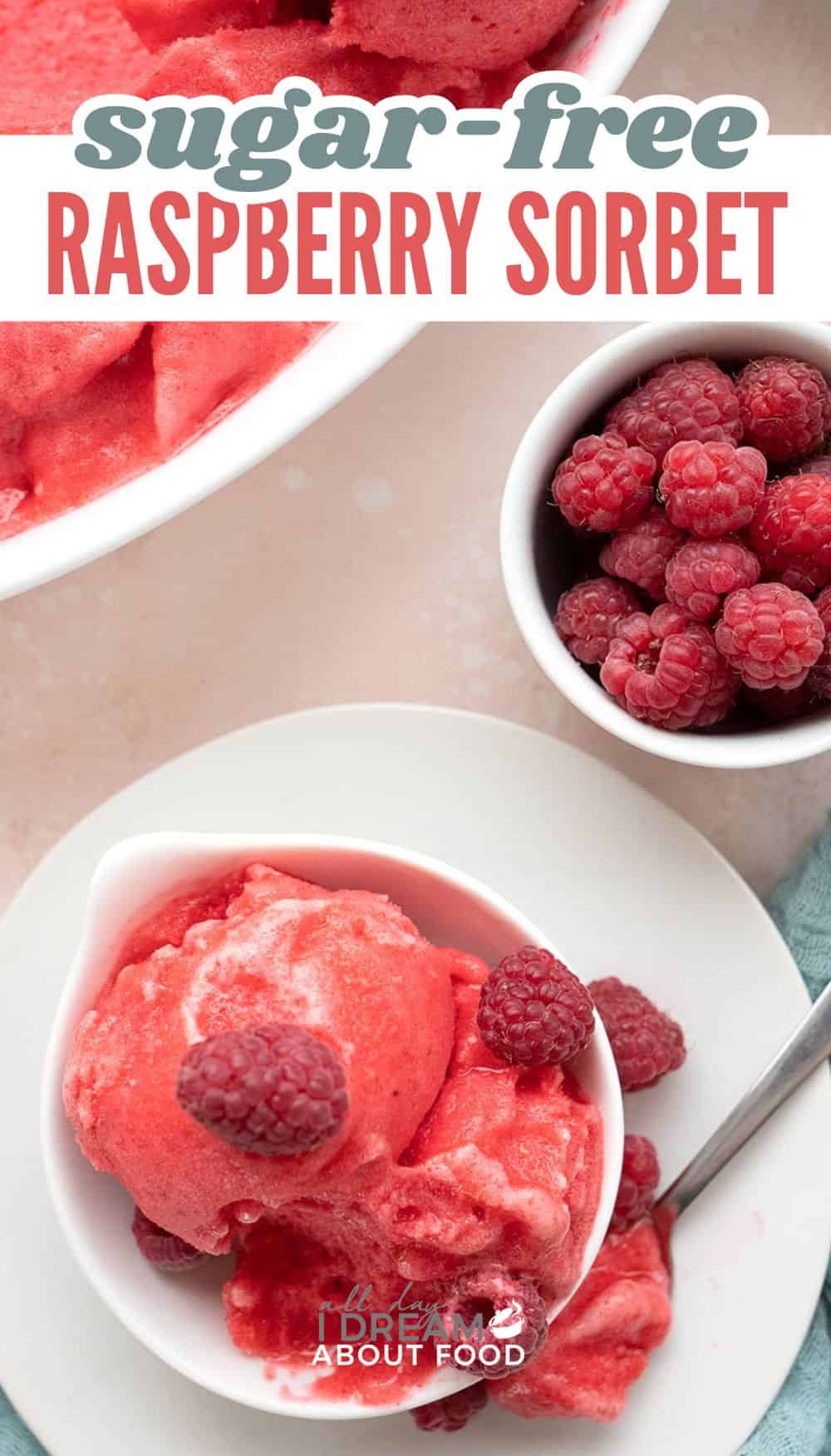 Sugar Free Keto Raspberry Sorbet - All Day I Dream About Food
