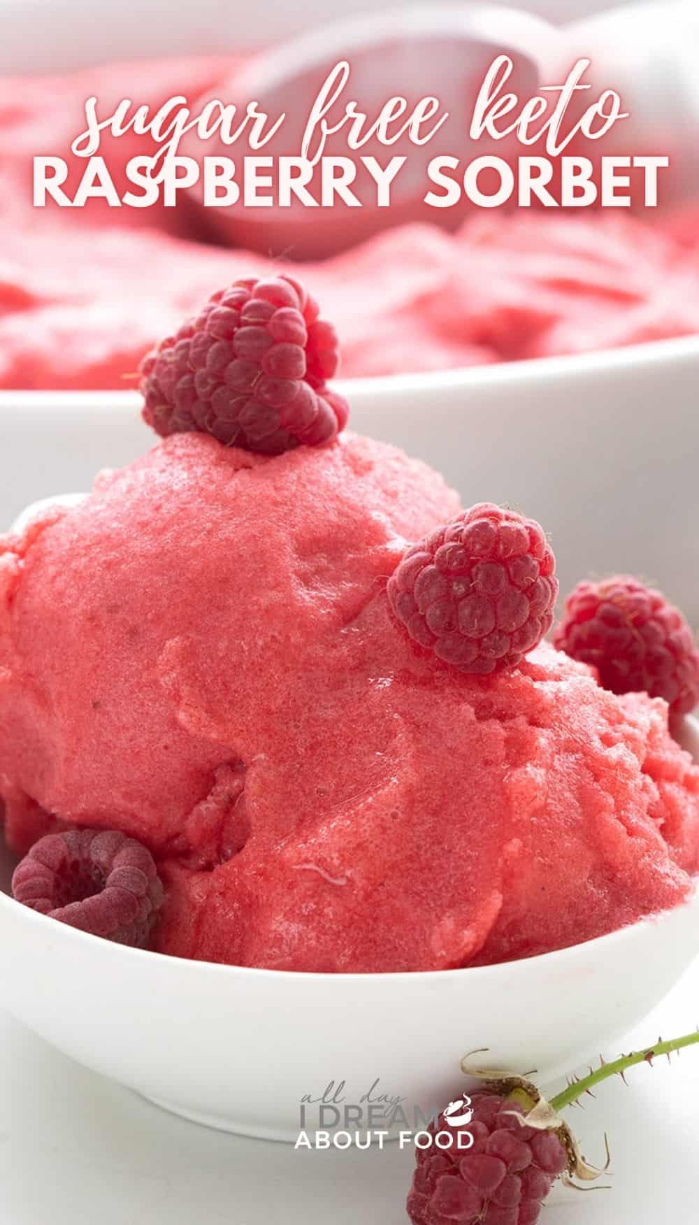 Sugar Free Keto Raspberry Sorbet - All Day I Dream About Food