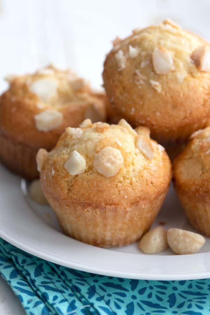 Keto Macadamia Nut Muffins - All Day I Dream About Food