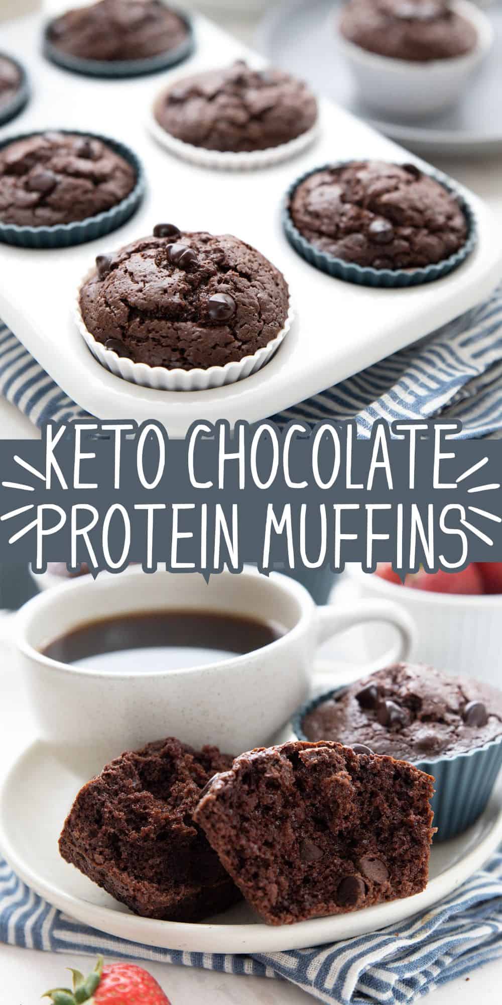 Chocolate Protein Muffins - All Day I Dream About Food