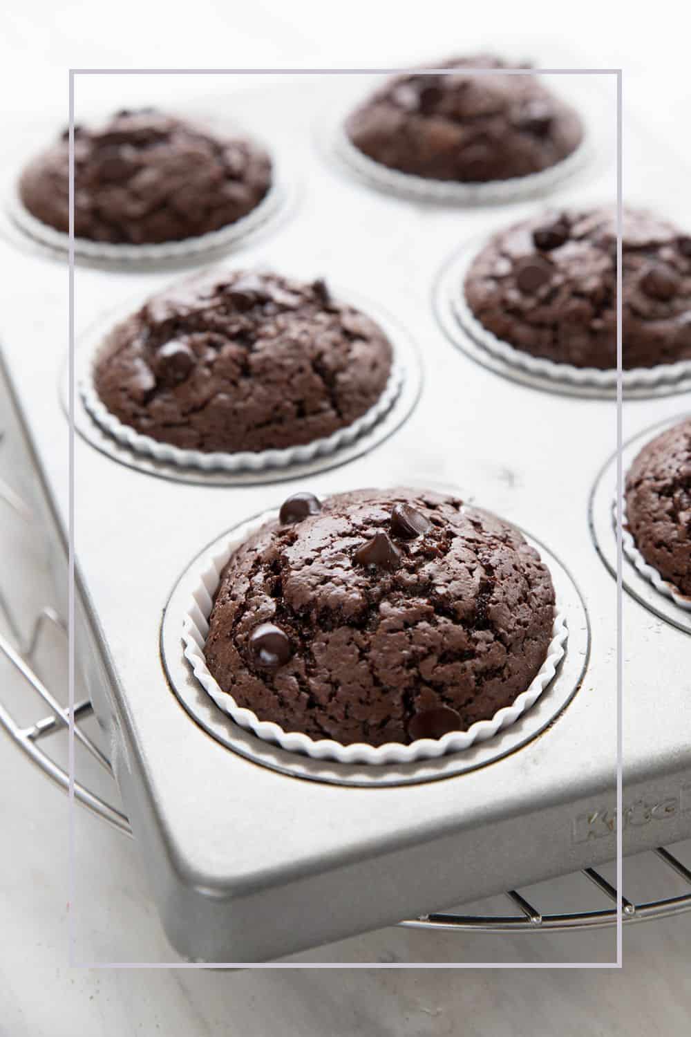 Chocolate Protein Muffins - All Day I Dream About Food
