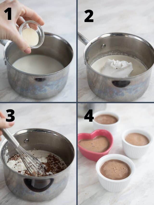 Chocolate Panna Cotta - All Day I Dream About Food