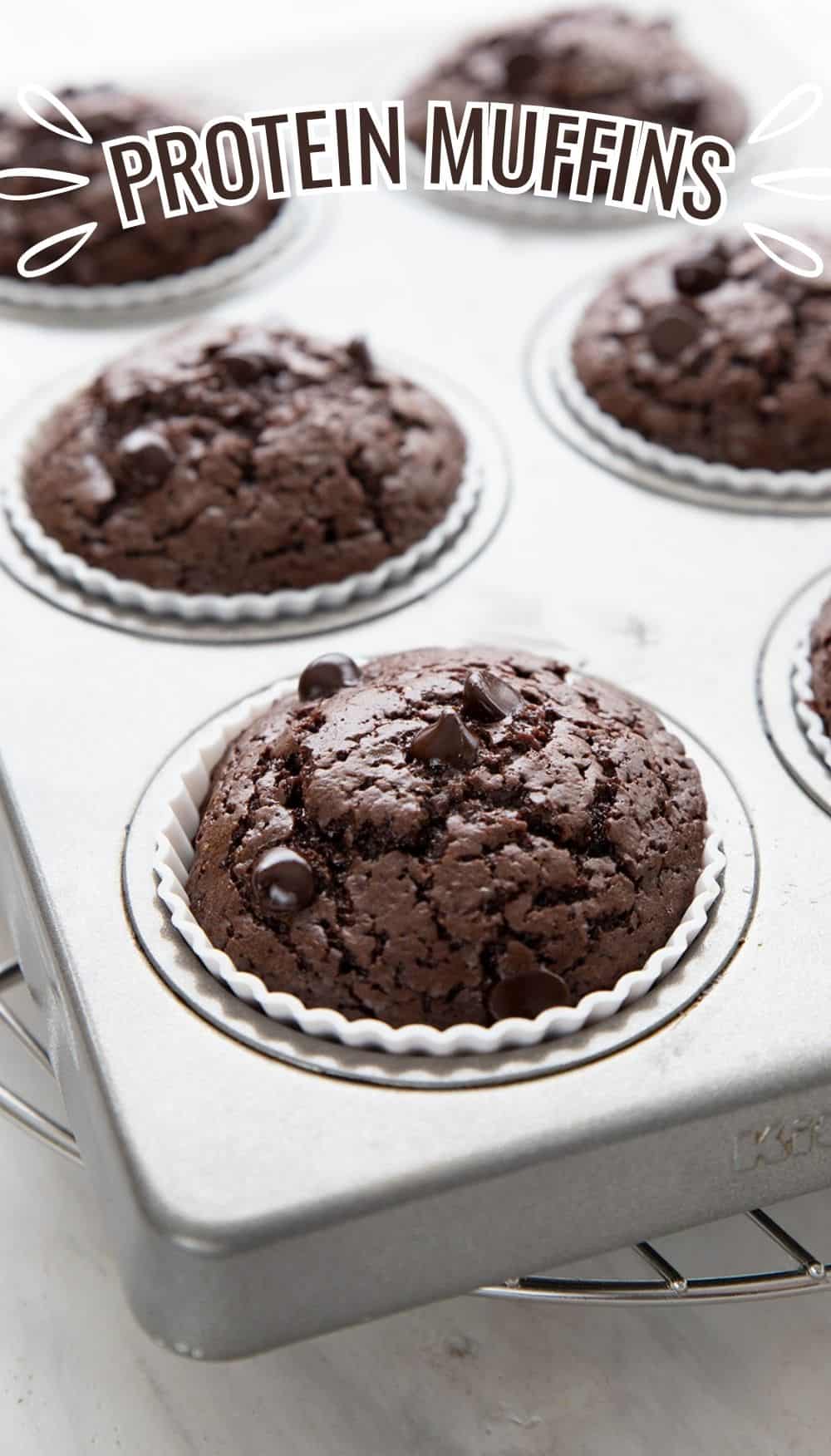 Chocolate Protein Muffins - All Day I Dream About Food