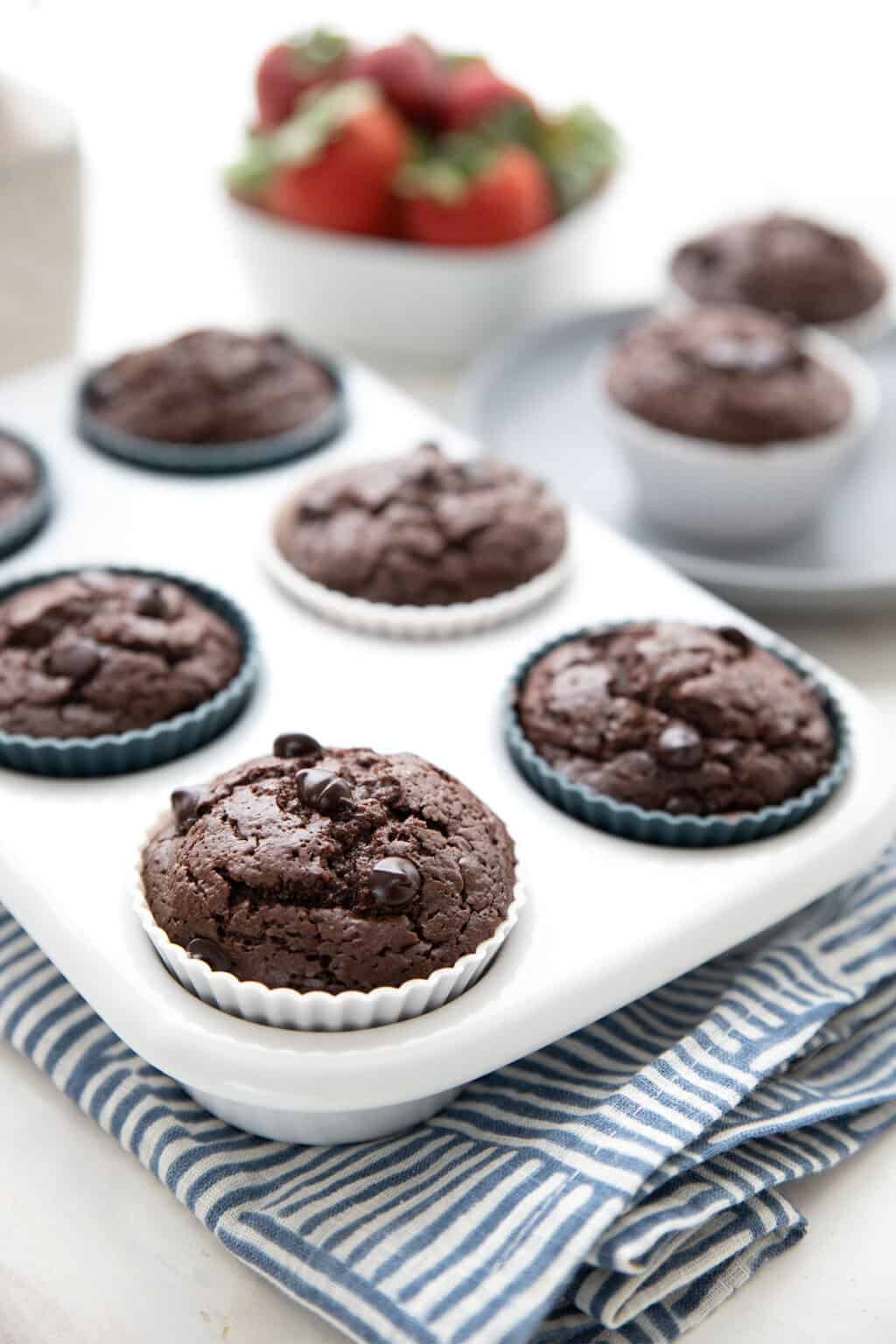 Chocolate Protein Muffins - All Day I Dream About Food