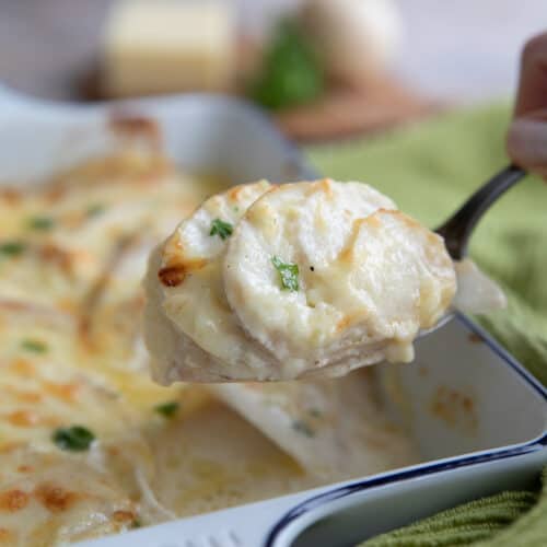 Turnip au Gratin - All Day I Dream About Food