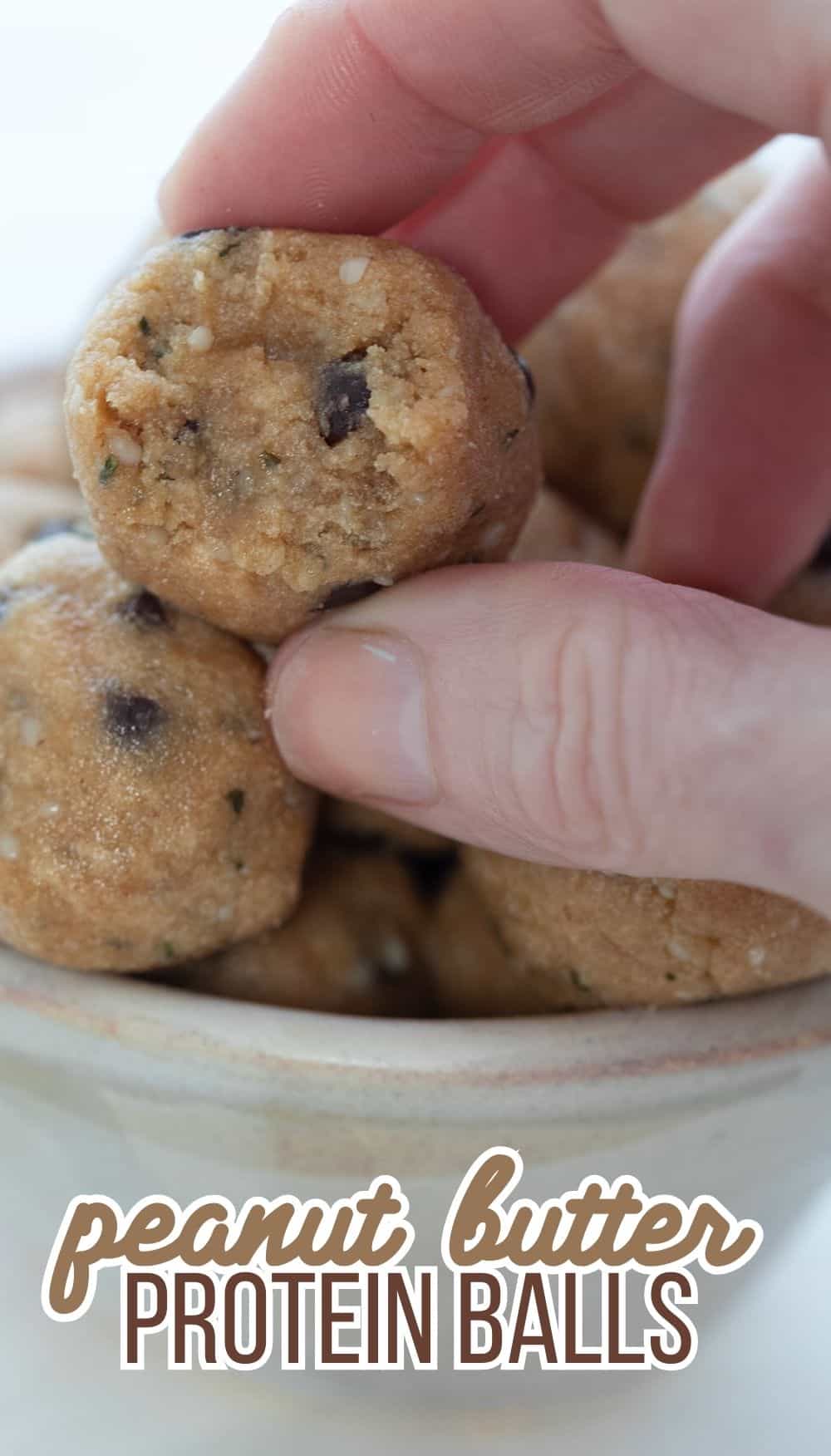 Peanut Butter Protein Balls - All Day I Dream About Food