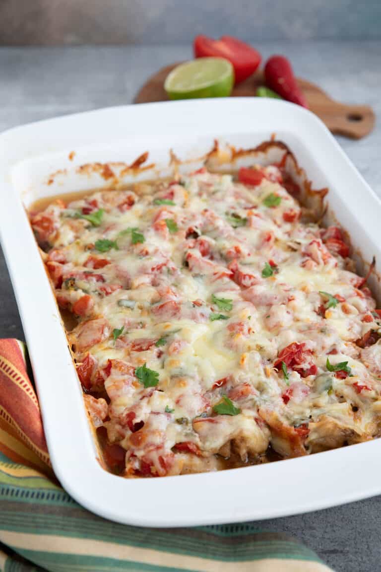 Salsa Fresca Chicken Bake - All Day I Dream About Food