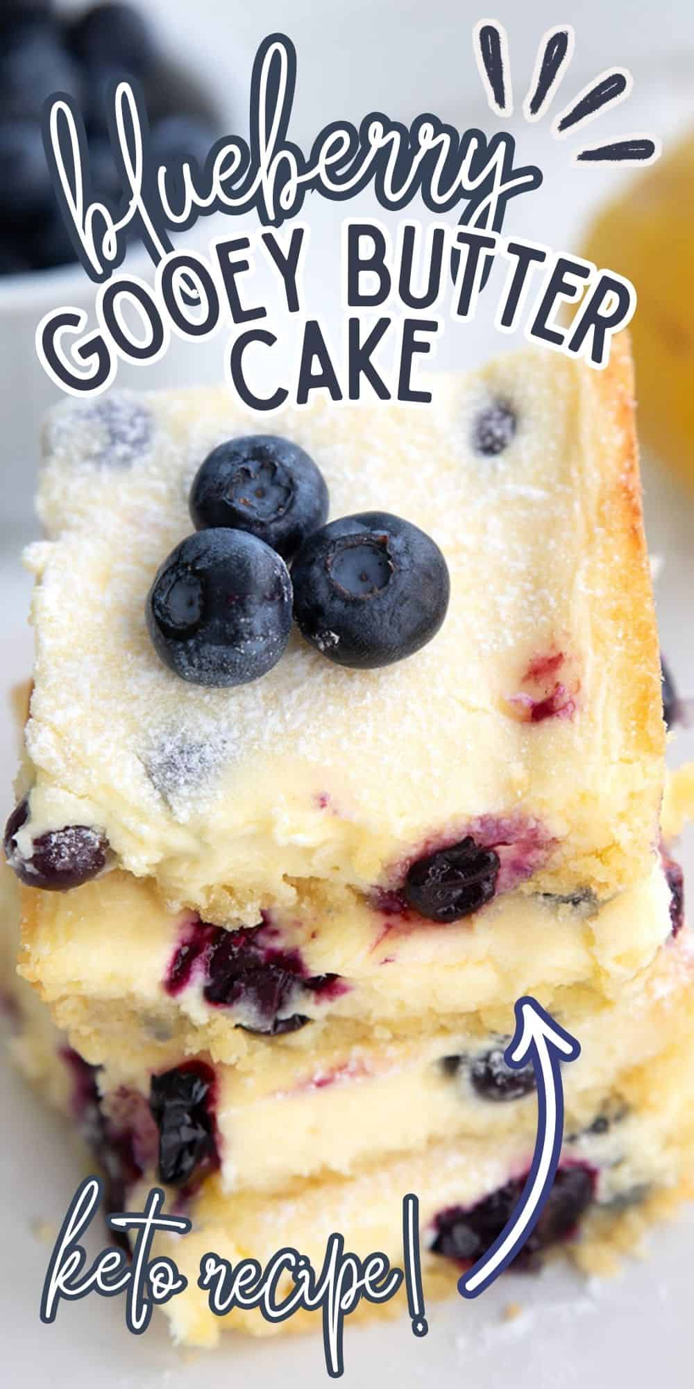 Blueberry Lemon Keto Butter Cake - All Day I Dream About Food