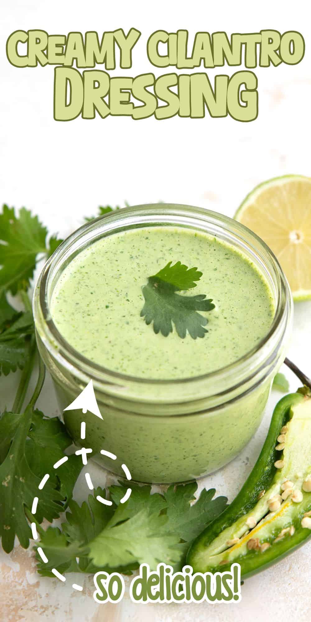 Creamy Cilantro Dressing - All Day I Dream About Food